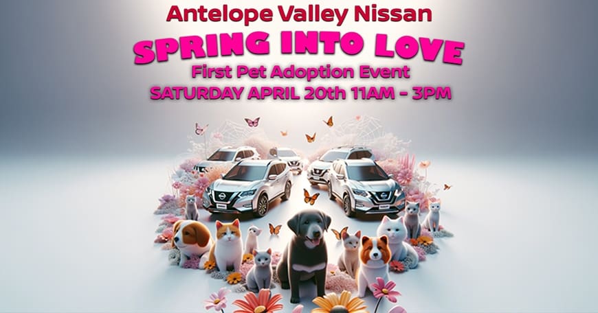 Spring into Love Pet Adoption Event | AntelopeValley.com