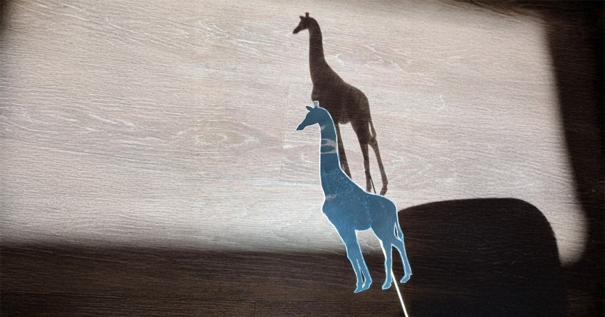 STEM: Shadow Puppets | AntelopeValley.com